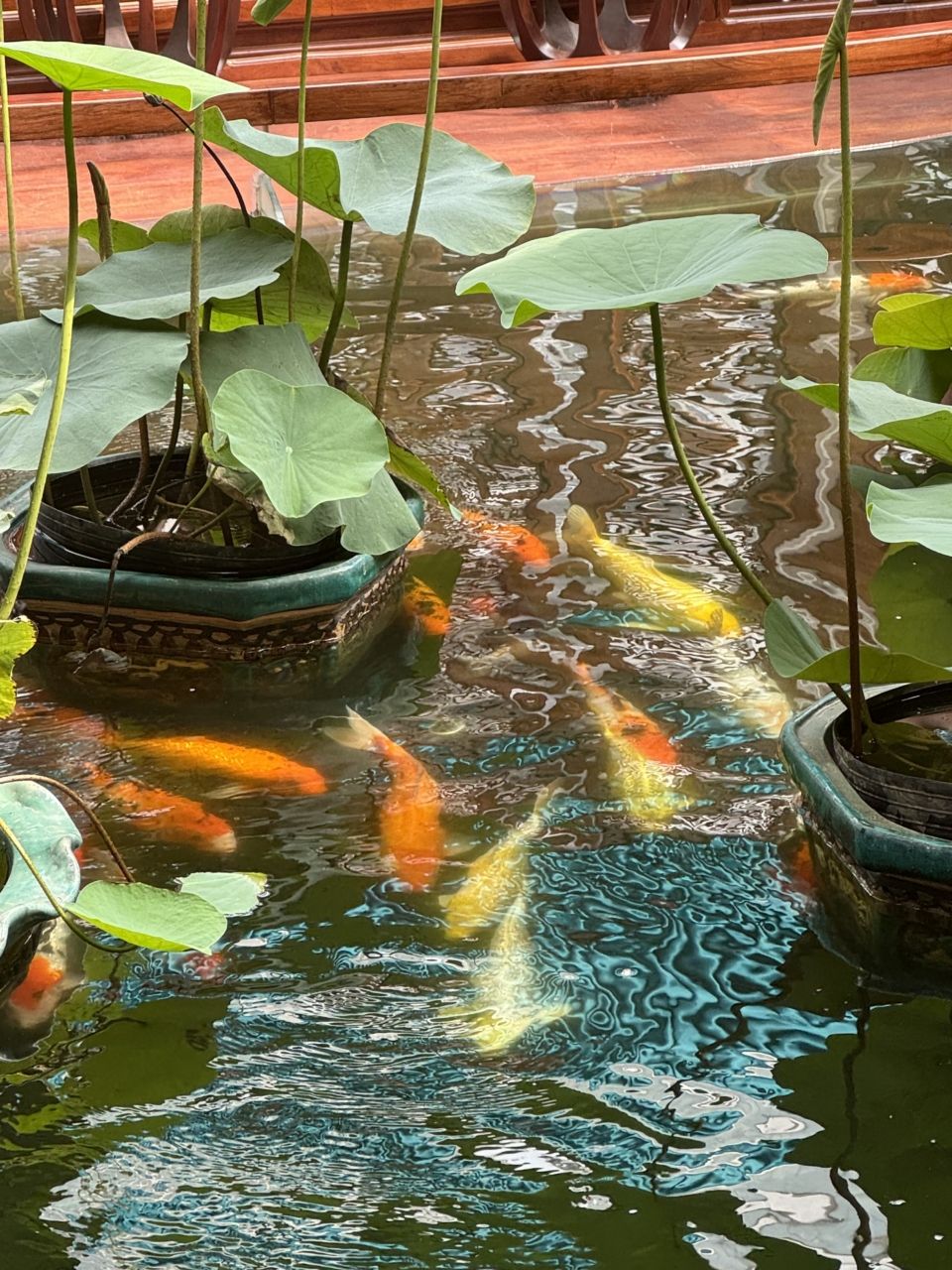 Best day in HCMC – Mjrex Travel Blog